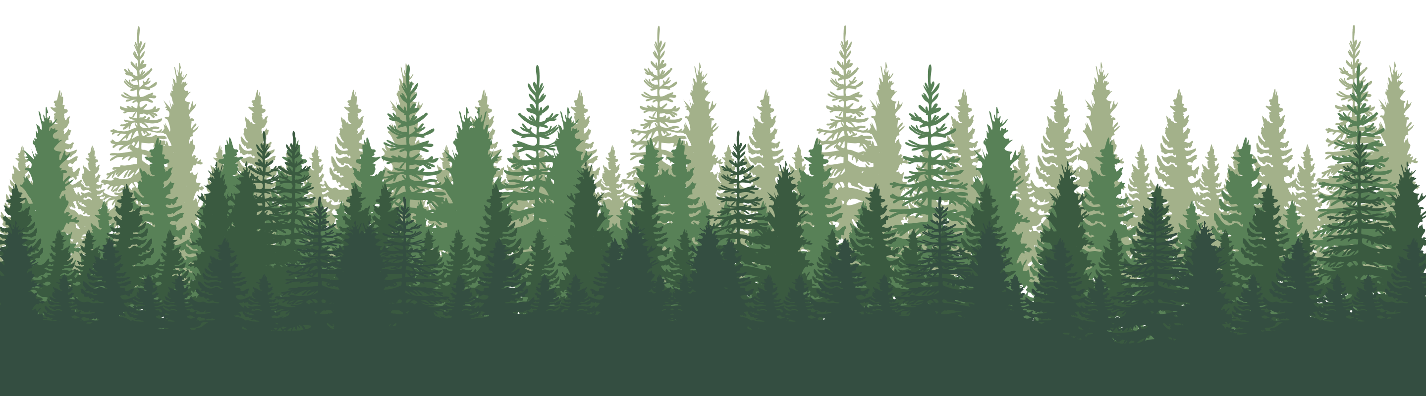 Bring back the forest