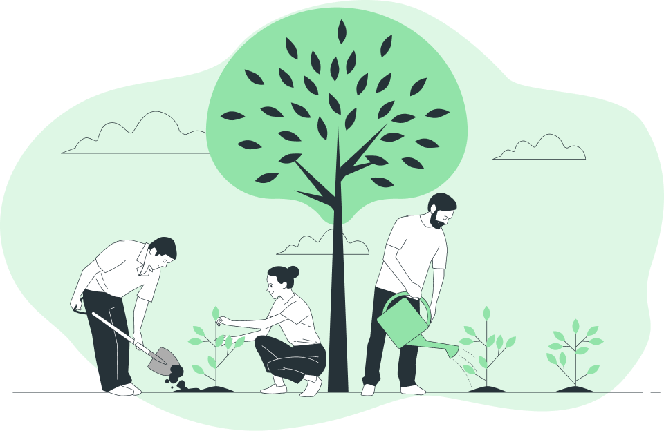 Bring back the forest